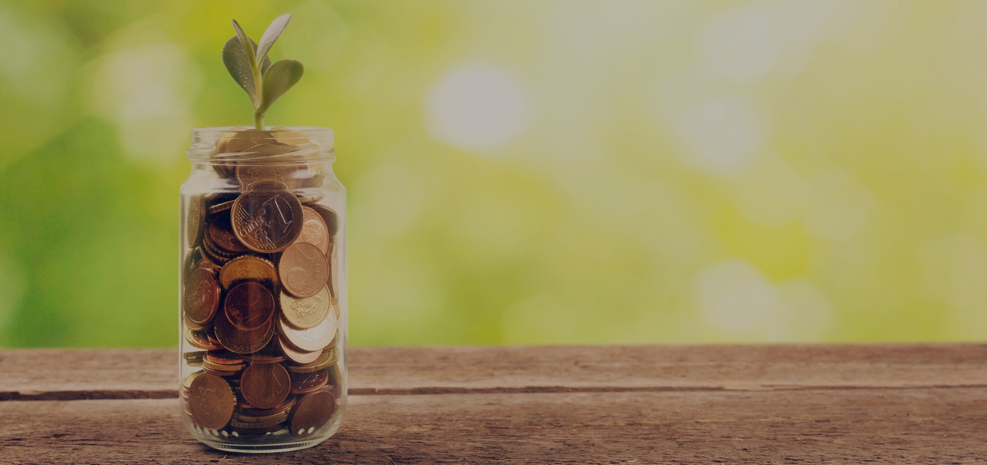 Business Loans & Funding for Start-ups & SMES from ACE Financial Management